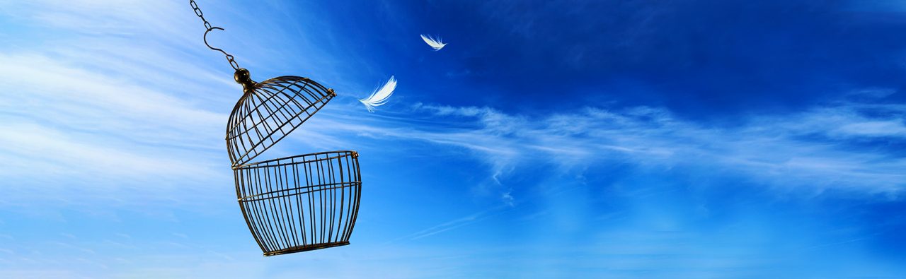 About - Mind Mechanic